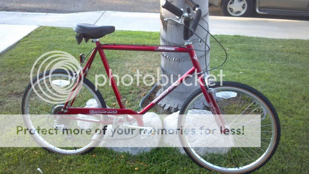 26" Cal Custom Cruisers and Strandies...ONLY! - BMXmuseum.com Forums