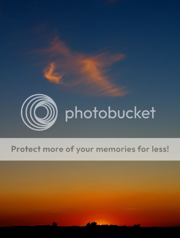 5 Creditos... al ke me dibuje o me consiga un ave fenix de ahuevo ...