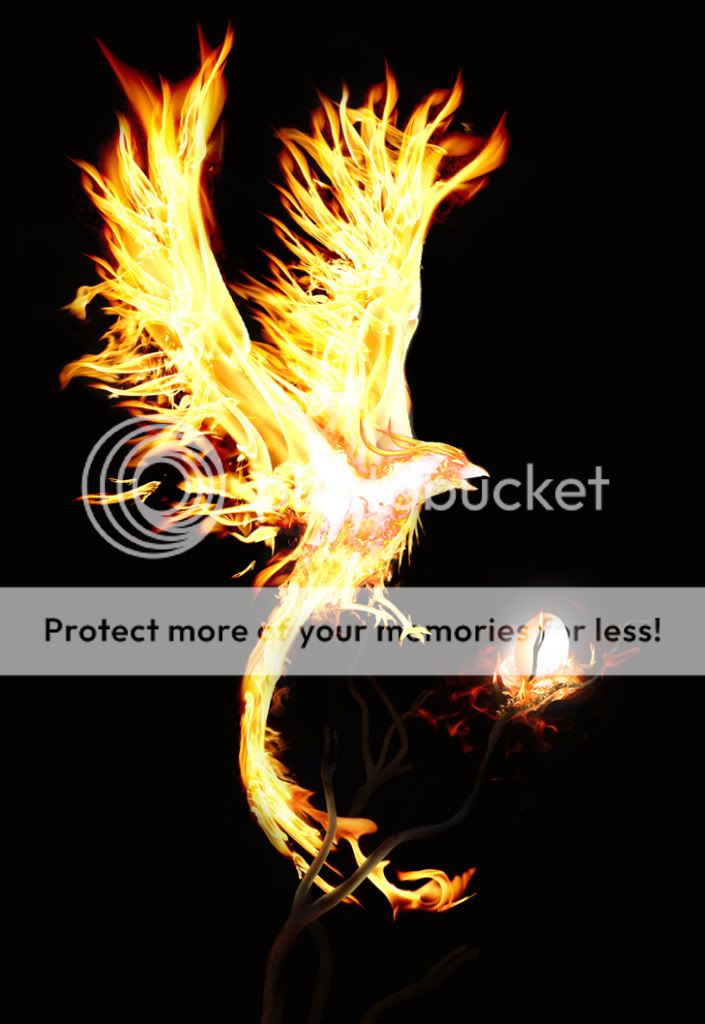 5 Creditos... al ke me dibuje o me consiga un ave fenix de ahuevo ...